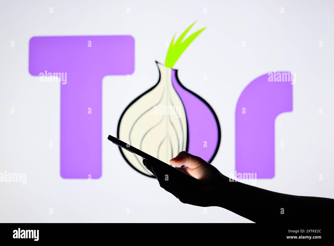In this photo illustration, the Tor logo seen in the background with a ...