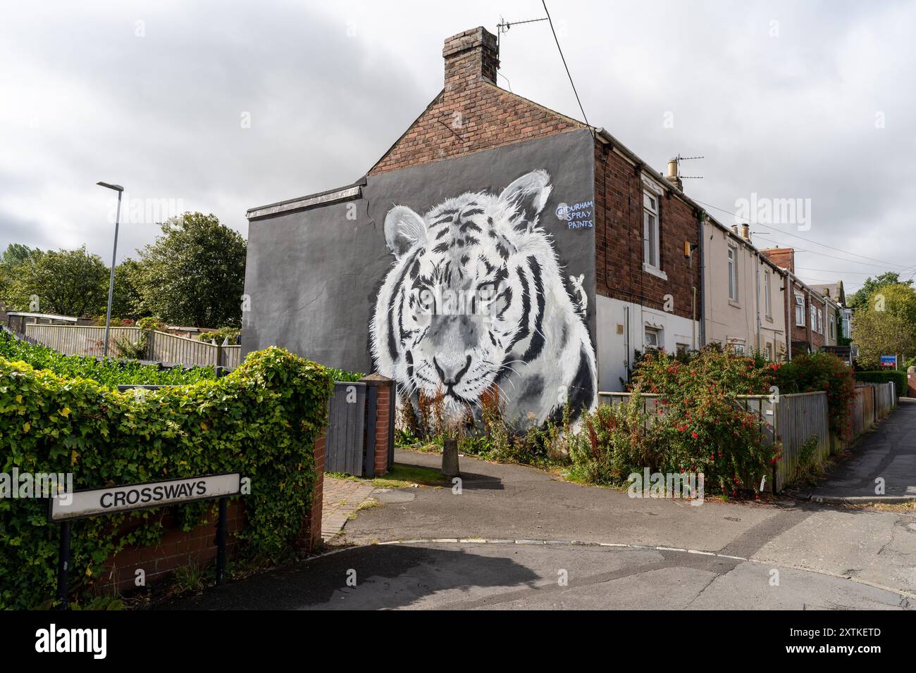 Sacriston, County Durham, UK. Tiger mural on a gable end wall at ...