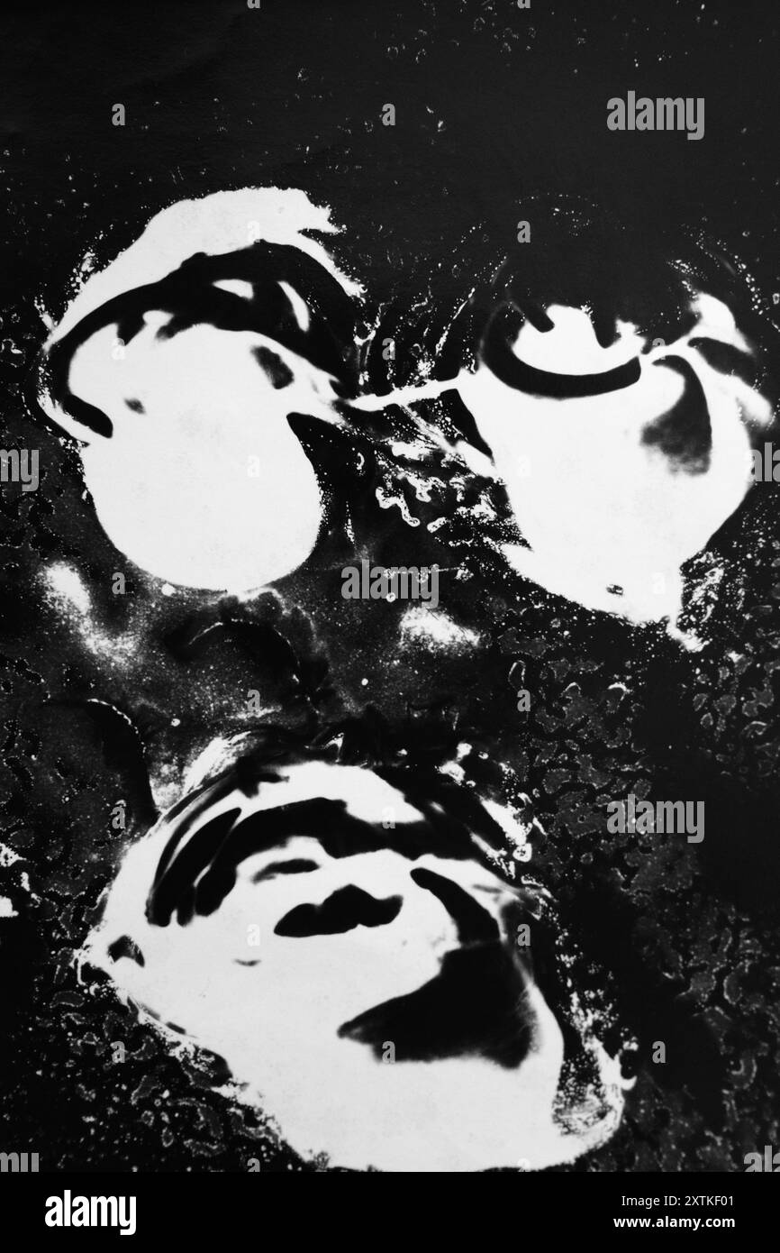 Our Distorted View Through the Veil is an enigmatic chemigram ...