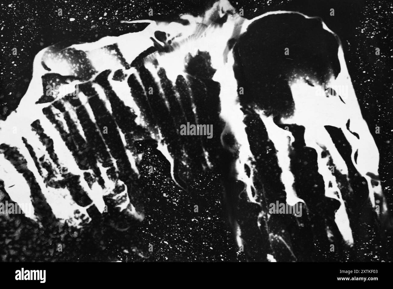 Painting an Elephant in Toothpaste is surreal abstract photographic ...