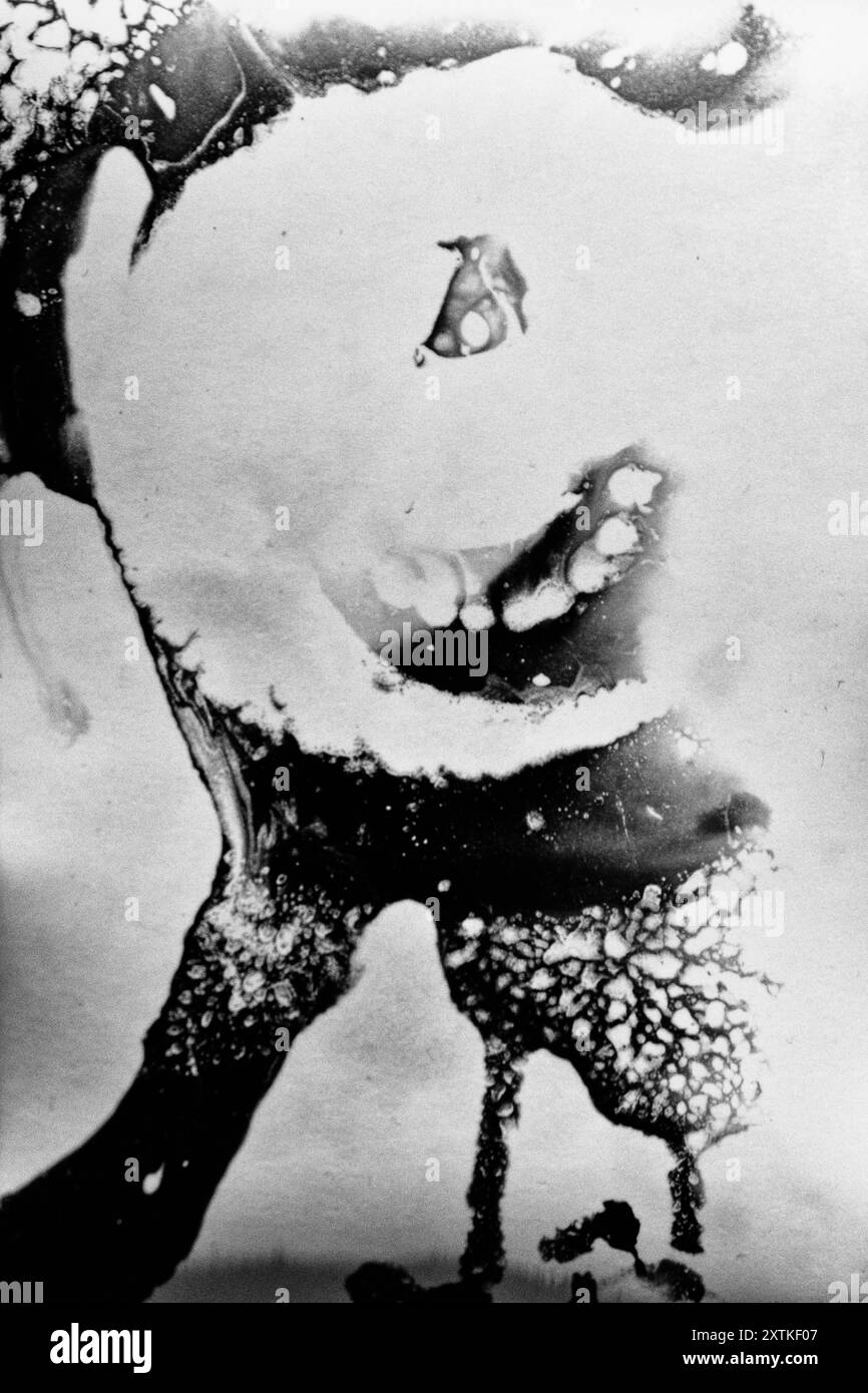 Smile is a surrealist artwork using chemigrams. The work presents an ...