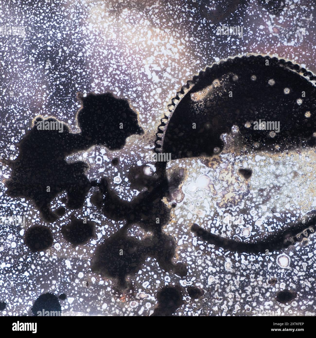 Cameraless photography hi-res stock photography and images - Alamy