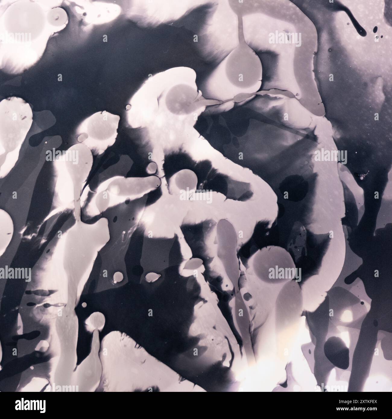 Surrealism inspired chemigram creating a complex interconnected visual ...