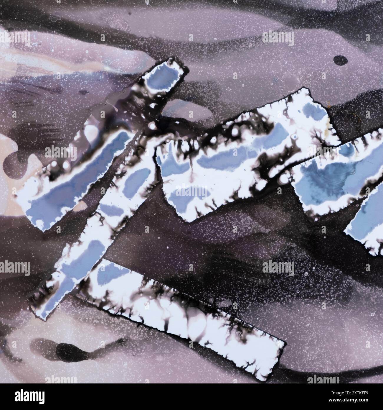 The Blue dog is a surrealist, abstract image made using chemigrams. In ...