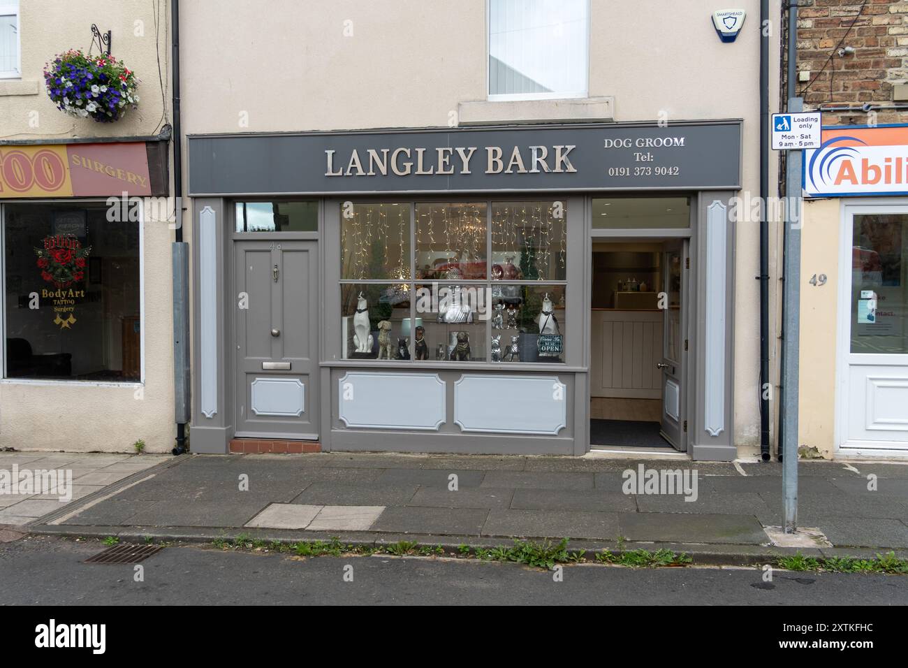 Dog parlour hi-res stock photography and images - Alamy