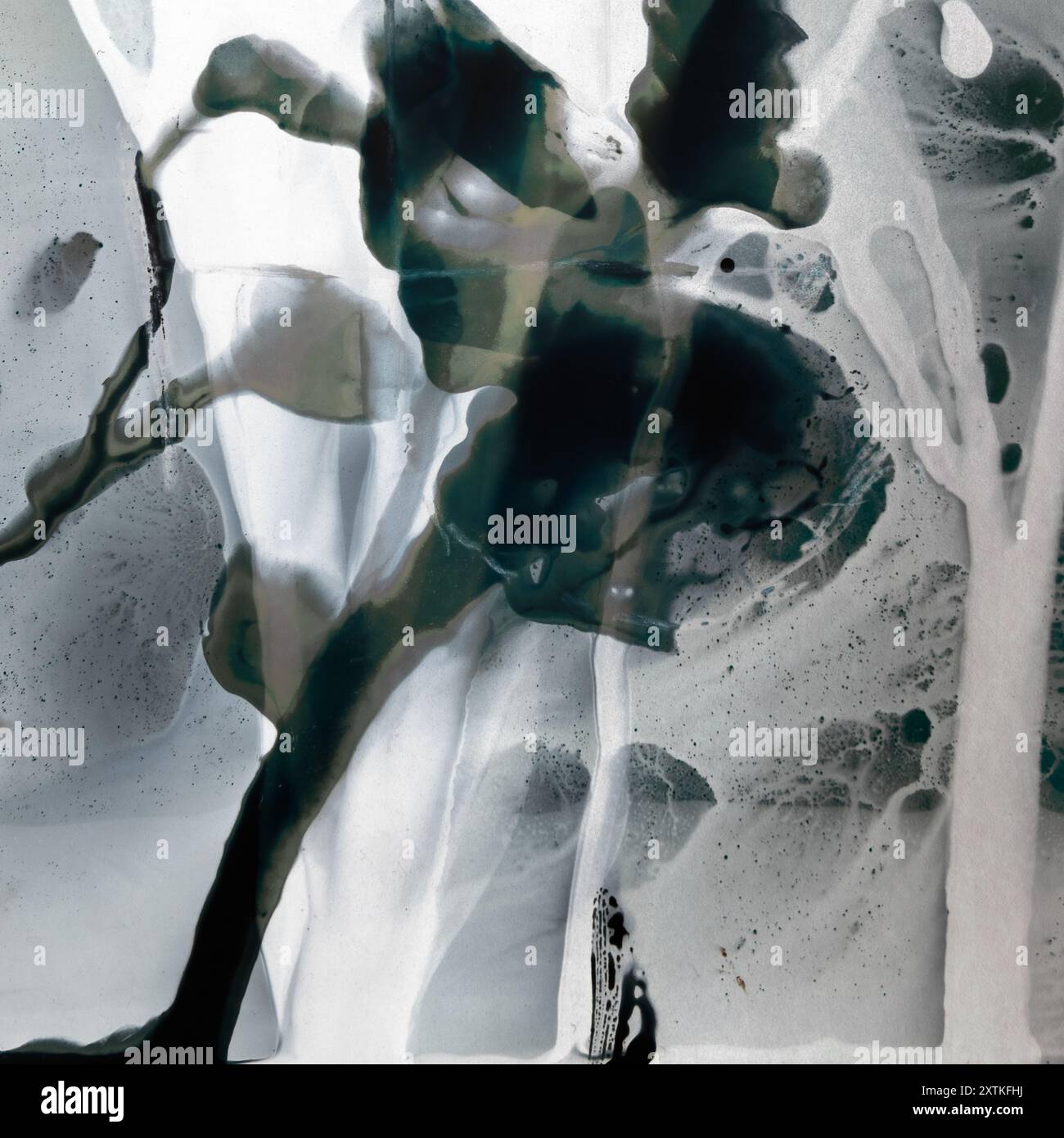 Surreal representation of the season of Autumn, made using chemigram ...