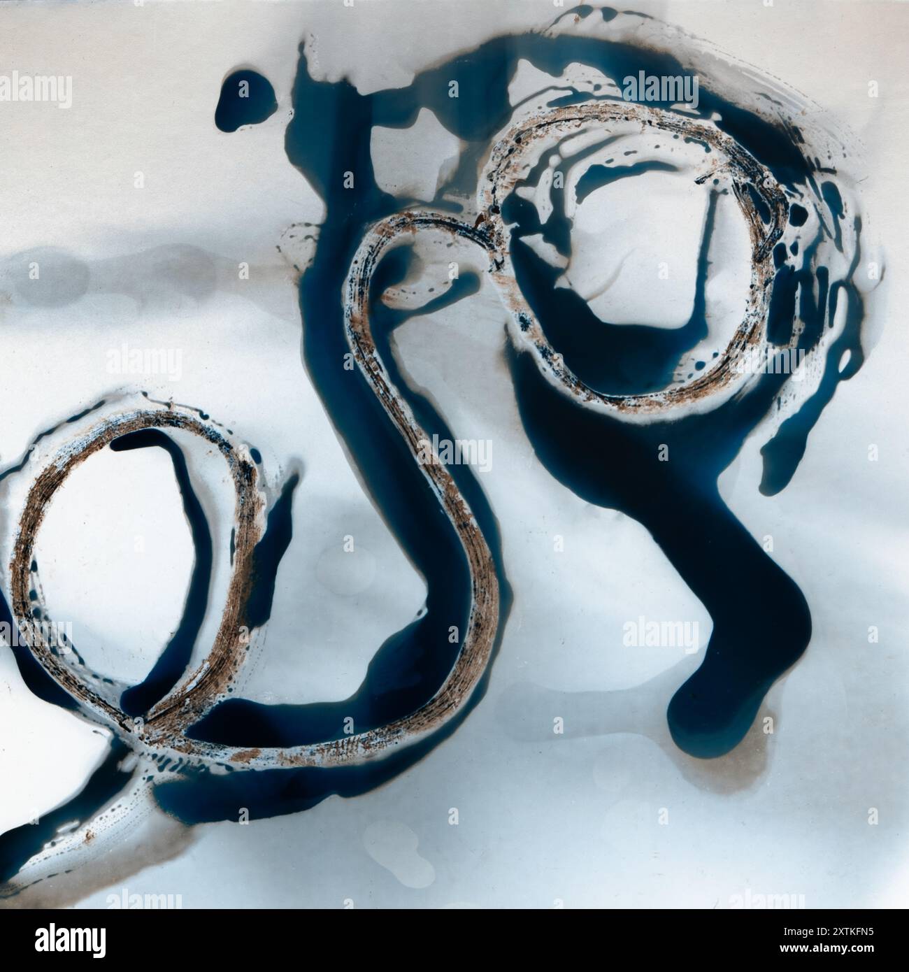 Square format abstract surrealist visual art made using chemigrams and ...