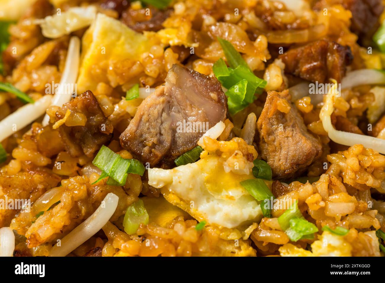 Homemade Char Siu Pork Fried Rice with Egg and Sprouts Stock Photo - Alamy