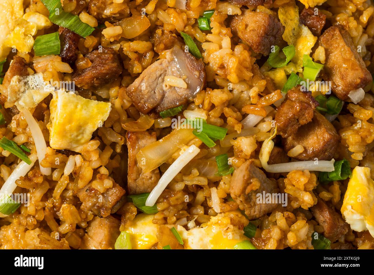 Homemade Char Siu Pork Fried Rice with Egg and Sprouts Stock Photo - Alamy