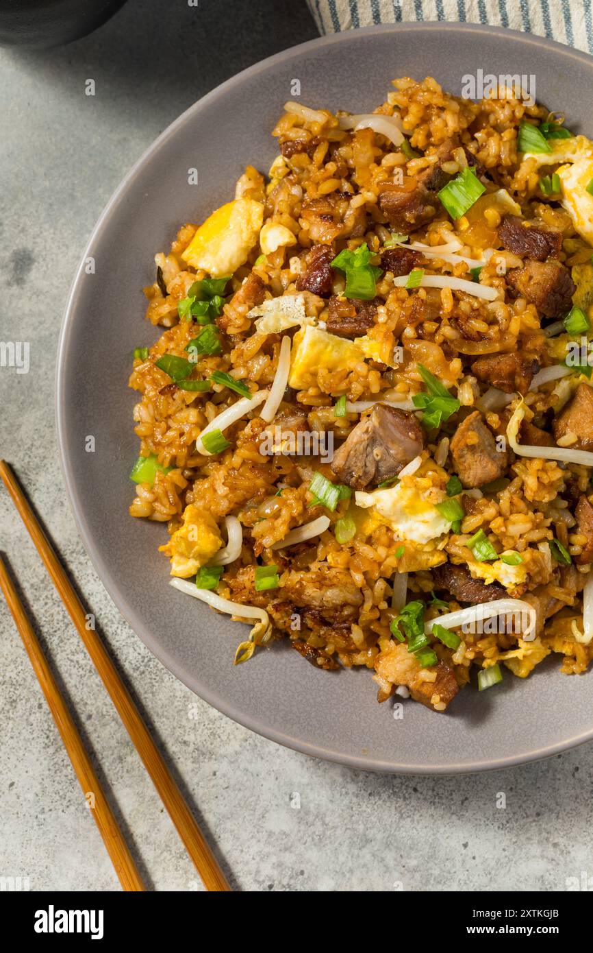 Homemade Char Siu Pork Fried Rice with Egg and Sprouts Stock Photo - Alamy