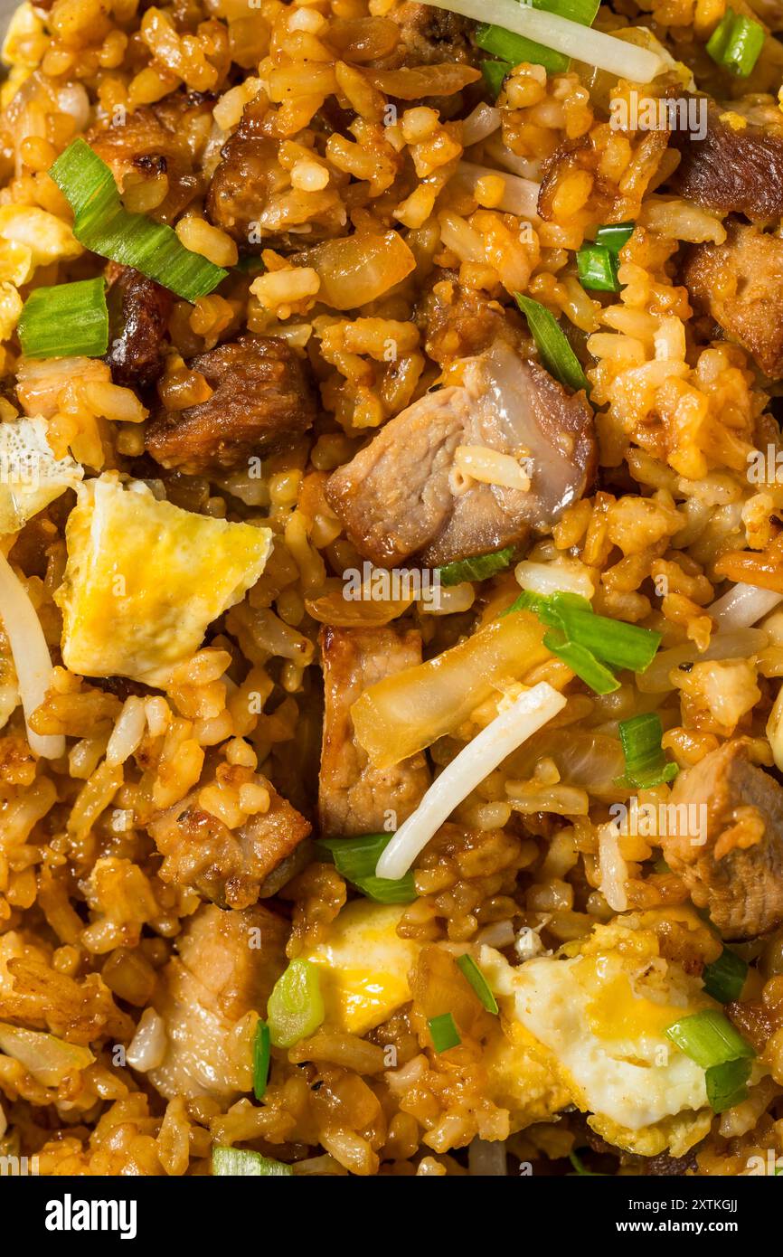 Homemade Char Siu Pork Fried Rice with Egg and Sprouts Stock Photo - Alamy