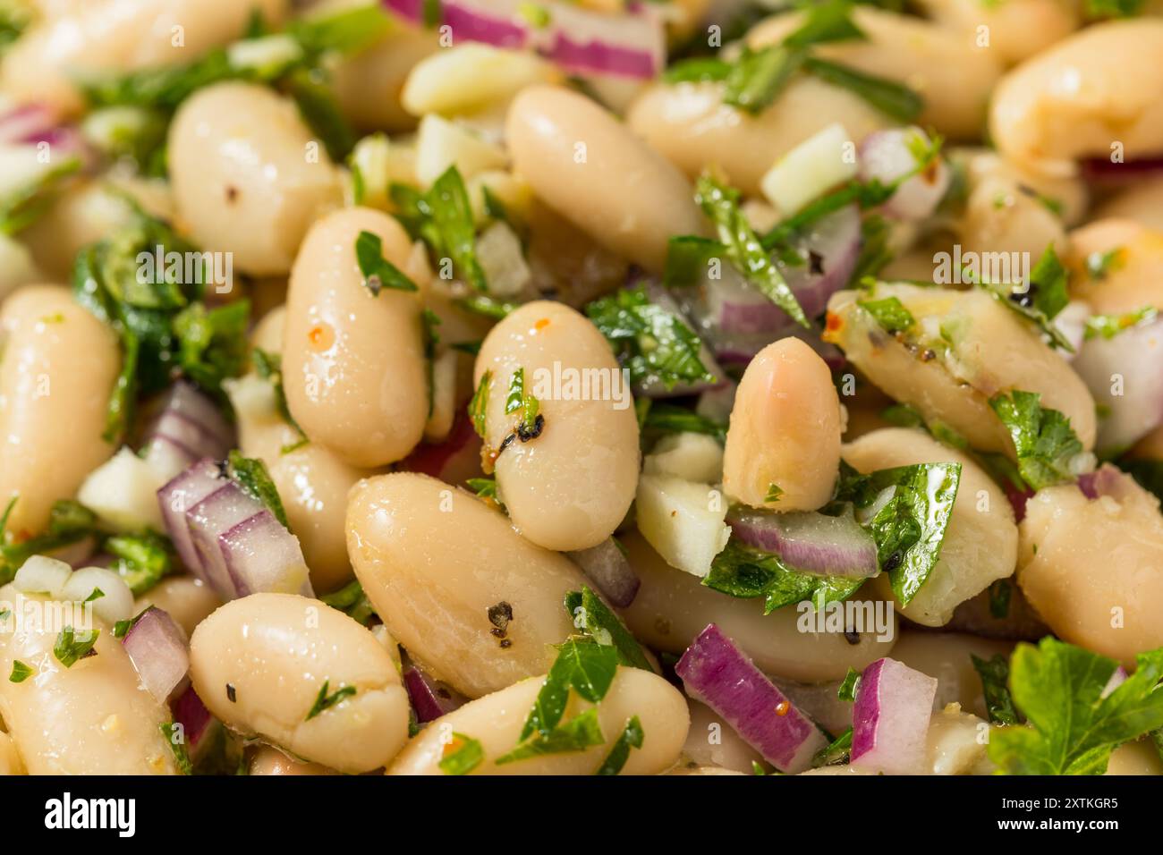 Healthy Cold White Bean Summer Salad with Herbs and Onion Stock Photo ...