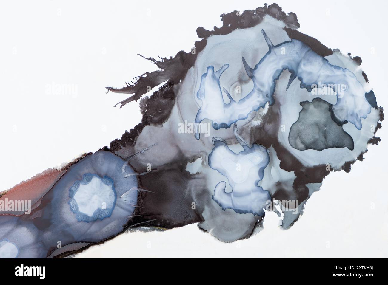 Conceptual fluid artwork using alcohol ink, the composition resembles ...