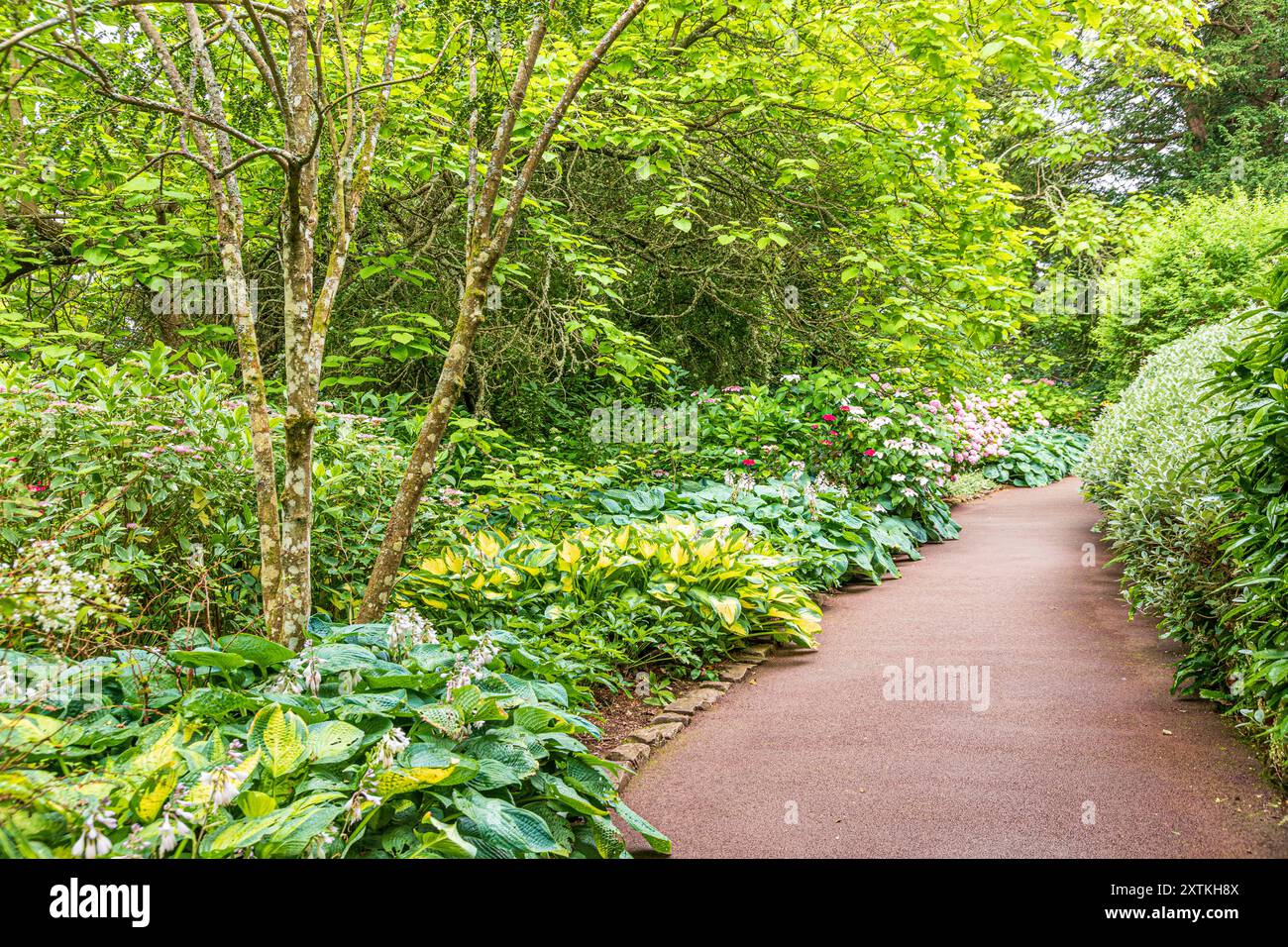 A path through the gardens at Dunster Castle, Dunster, Somerset ...