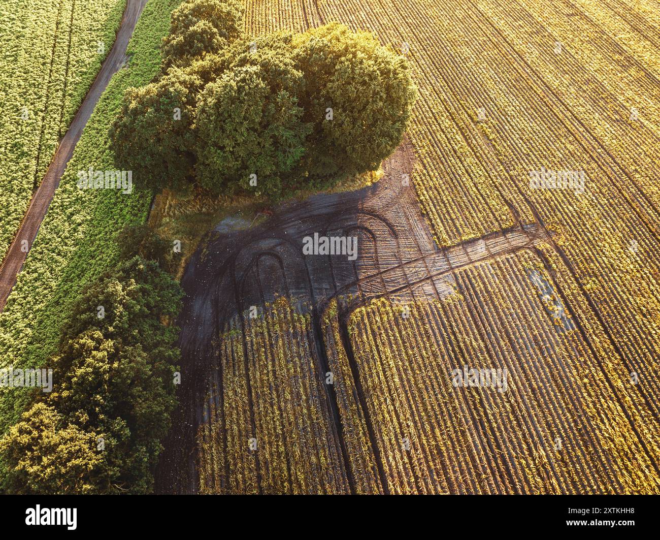 Aerial view of track through a field in rural Jutland, Denmark Stock ...