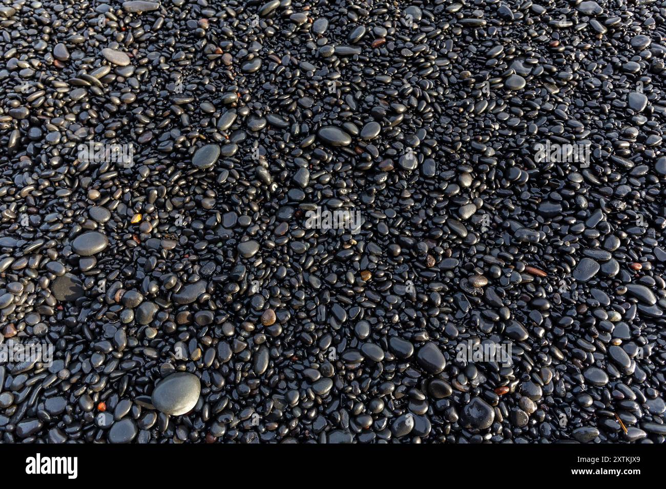 Shiny basalt pebbles on black sand, Reynisfjara Black Sand Beach ...