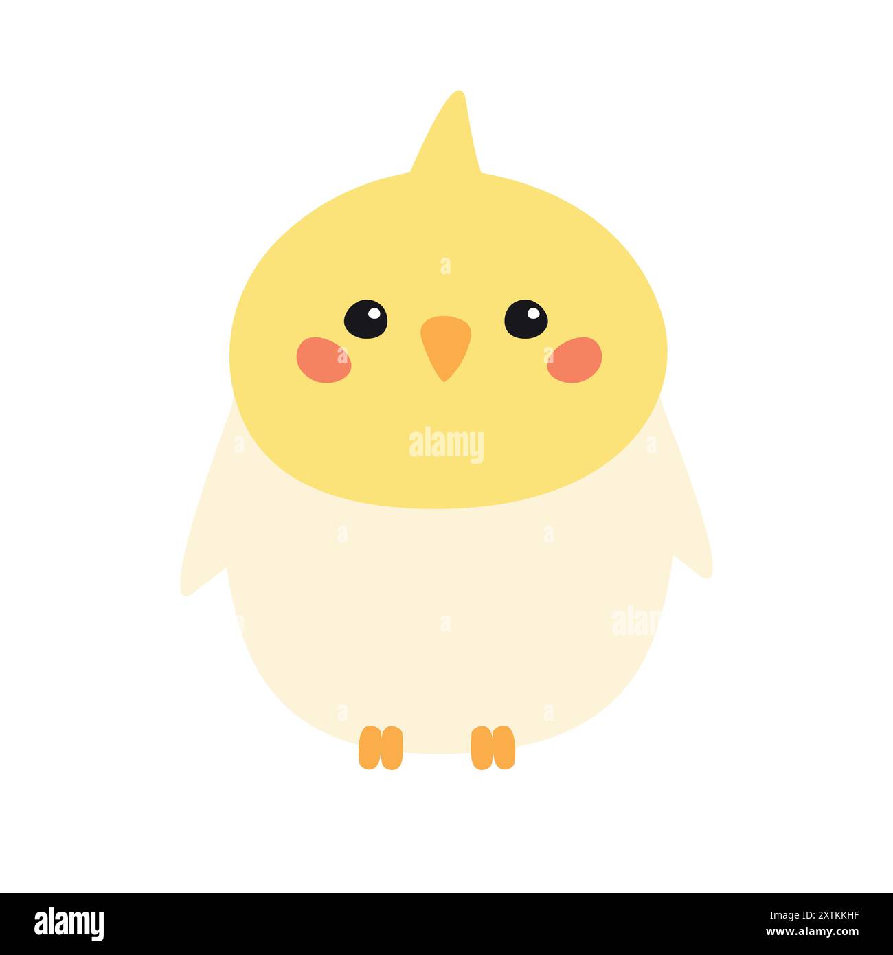 Vector hand drawn flat cockatiel parrot isolated on white background ...