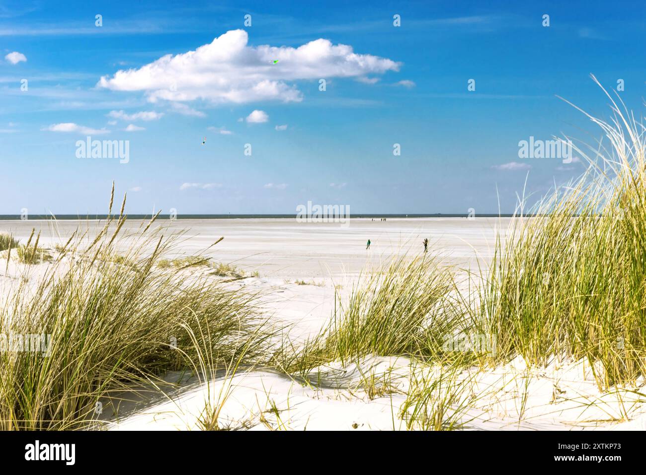 German beach sand dunes hi-res stock photography and images - Alamy