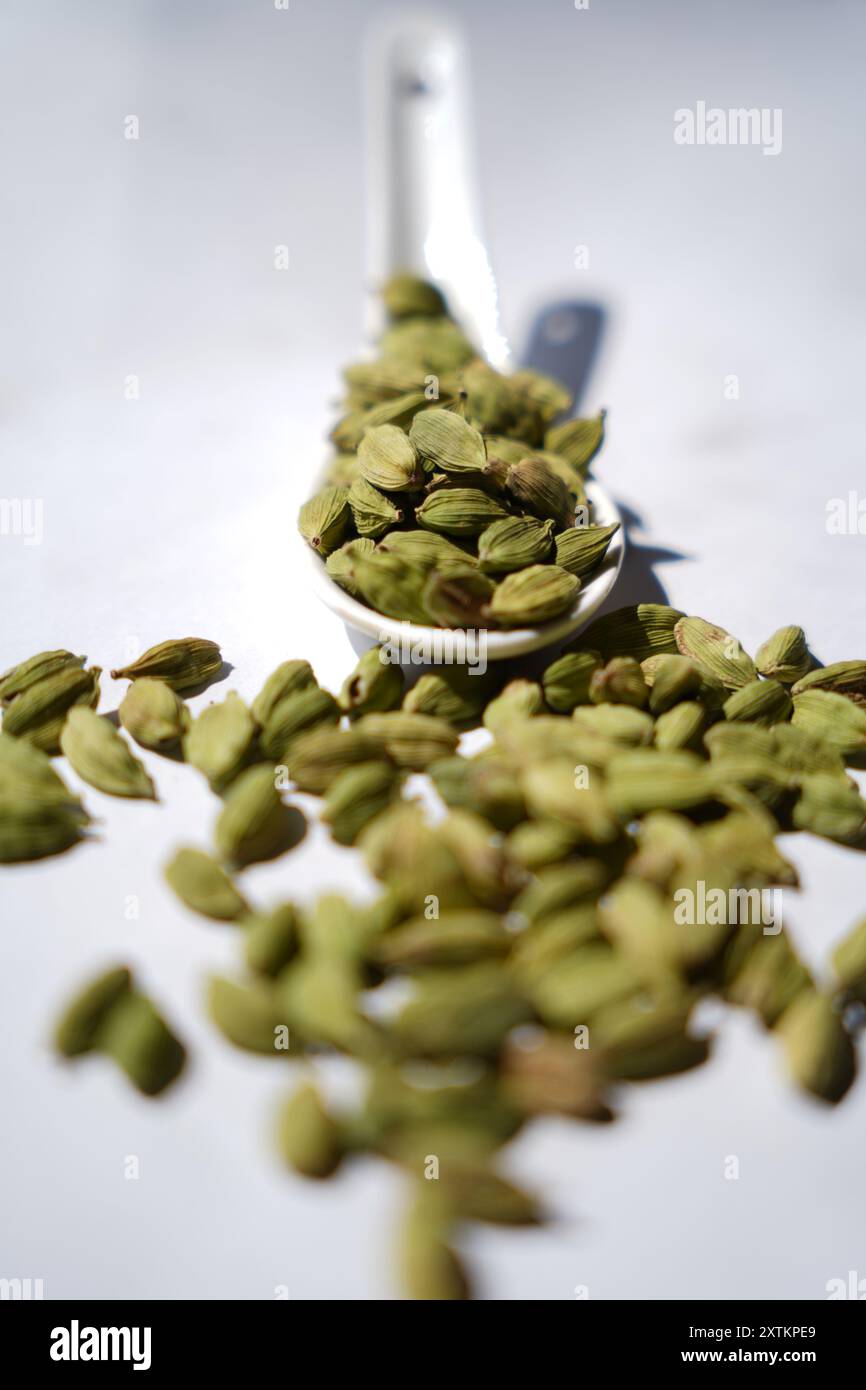 Cardamom pods, aromatic spice used in culinary dishes and beverages ...