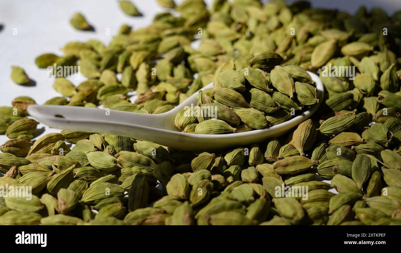 Cardamom pods, aromatic spice used in culinary dishes and beverages ...