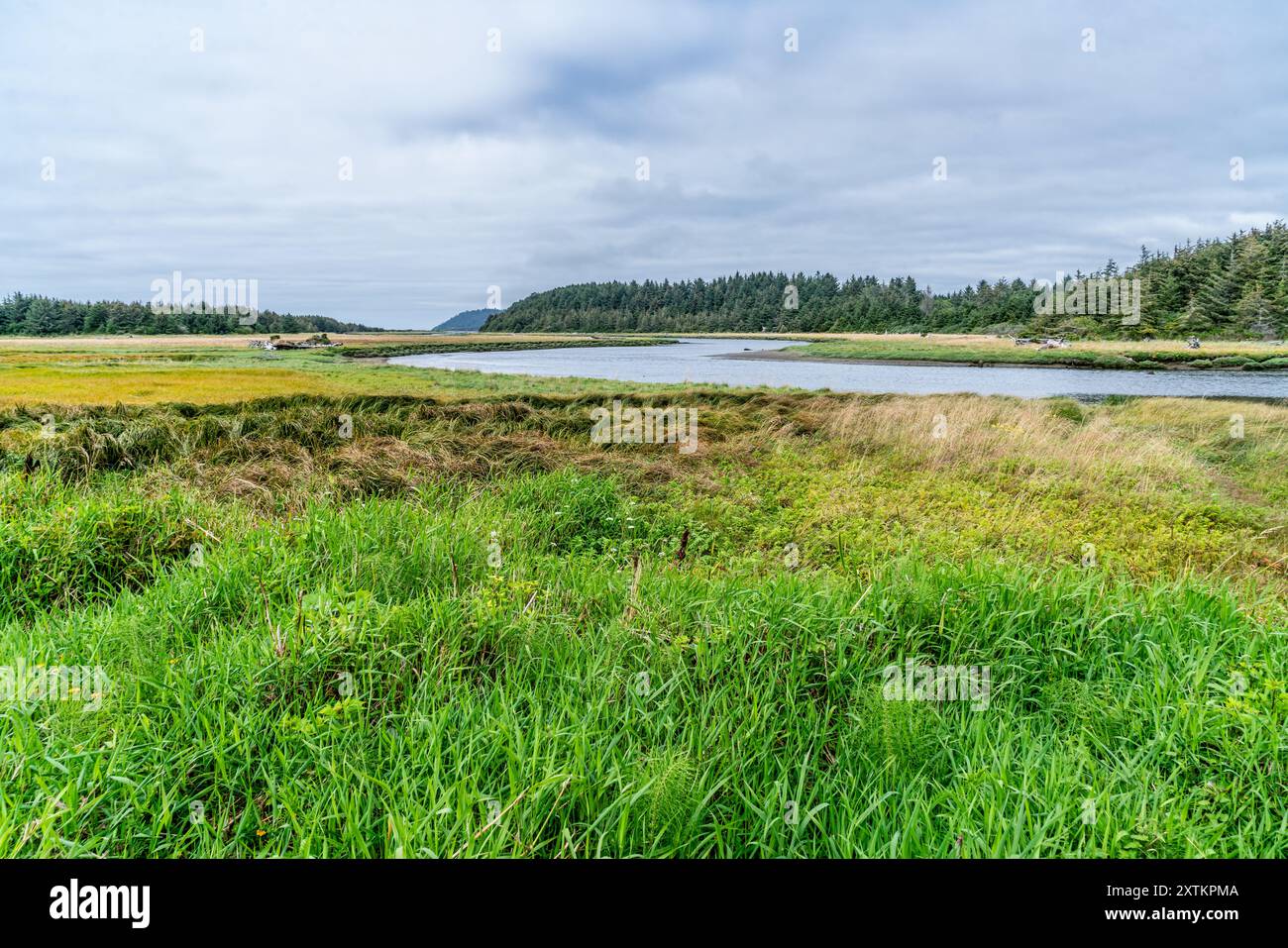 A landscape view of the Copalis River in Washington State Stock Photo ...