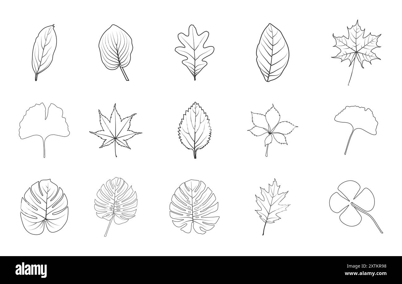 Leaf outline, leaves line art, Leaf line art, Leaf outline svg, leaf ...