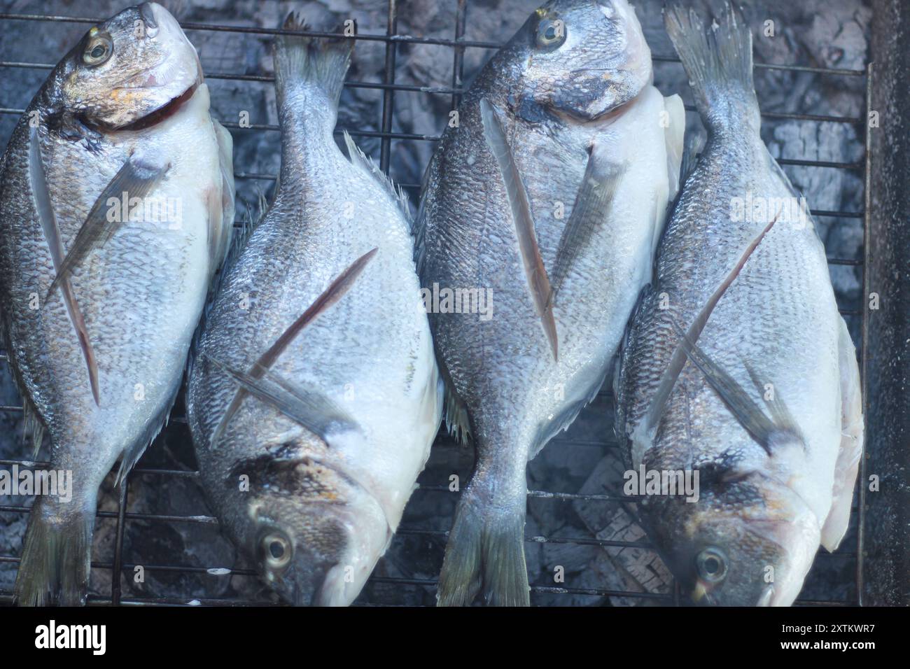 Cooking fish outdoor. Baking and roasting sea bream fish on barbecue ...