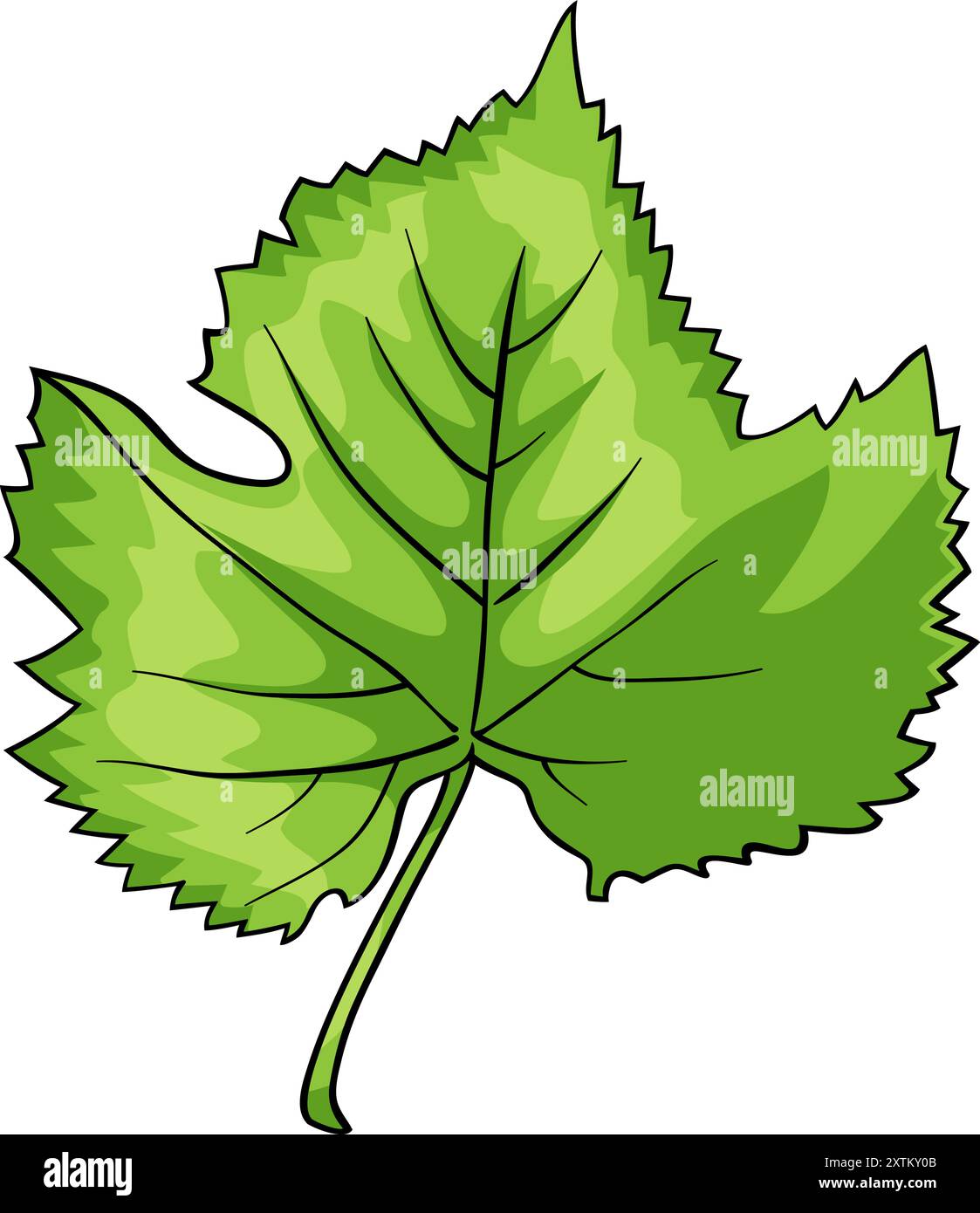 Cartoon illustration of green deciduous tree leaf nature object Stock ...