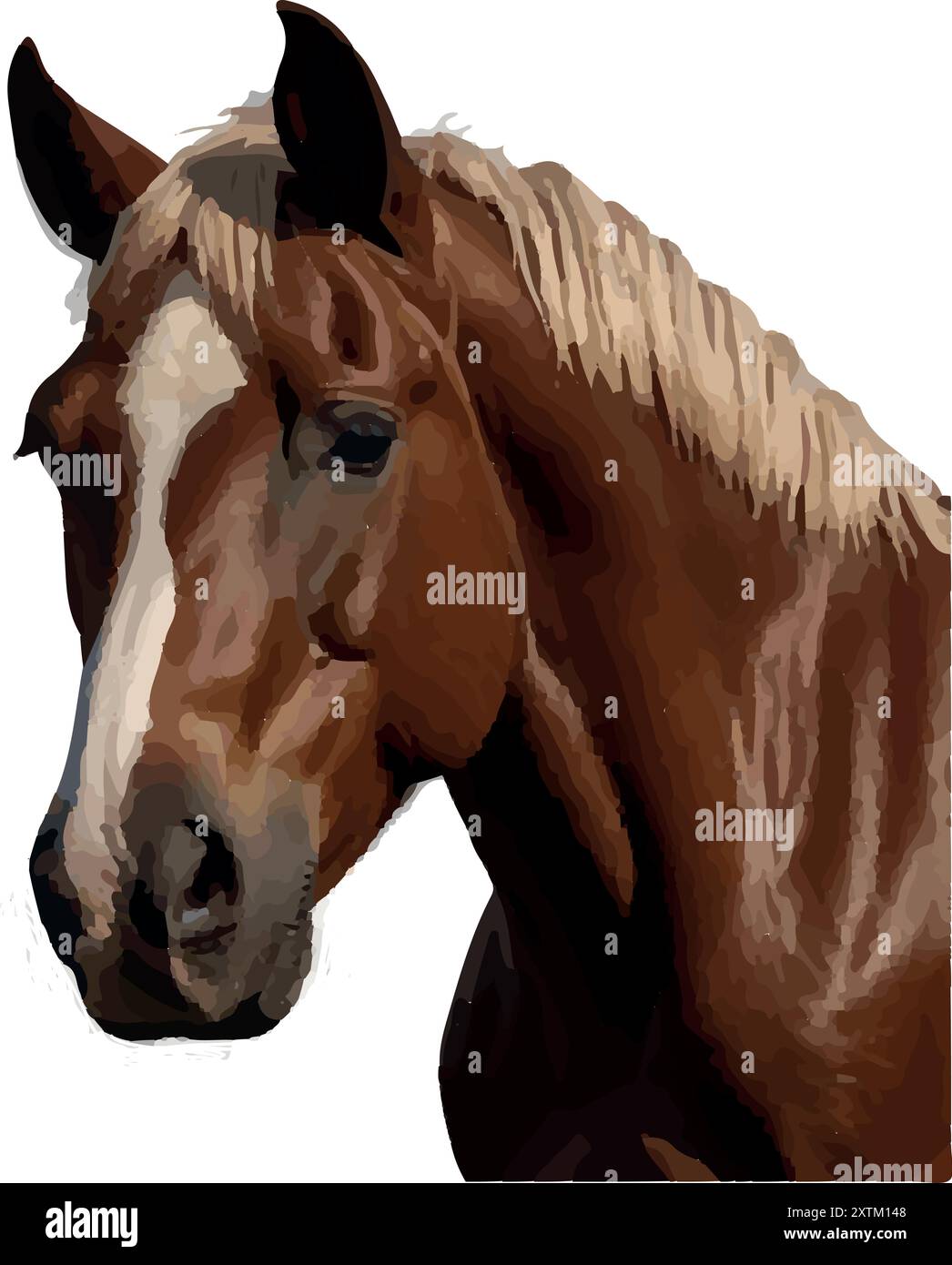 Graceful Horse Vector Art Illustration Stock Vector Image & Art - Alamy