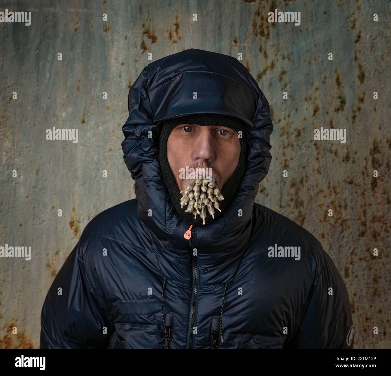White man with winter blue jacket and 29 marijuana joints in mouth ...