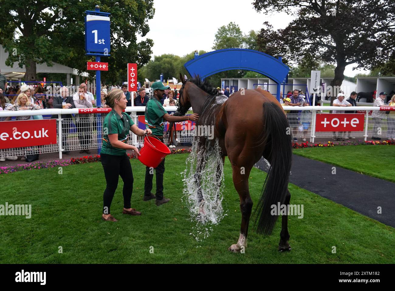 Down royal races 2024 hi-res stock photography and images - Alamy