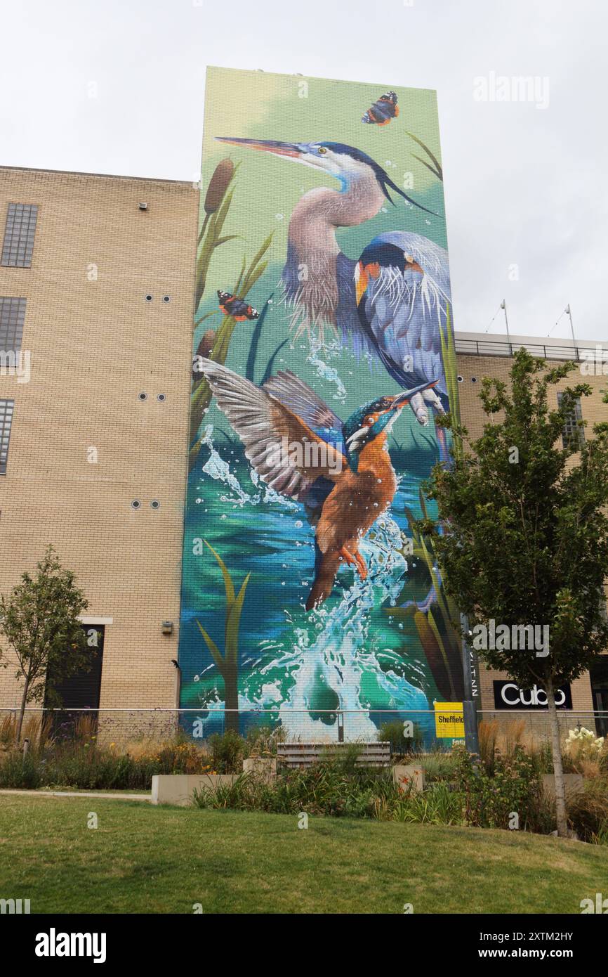 Kingfisher Heron mural street art Reverie Cubo building wall in Pounds ...