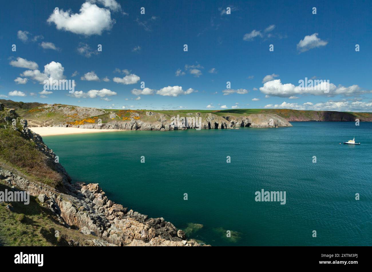 Barafundle bay and beach on the Pembrokeshire coast of Wales in the UK ...