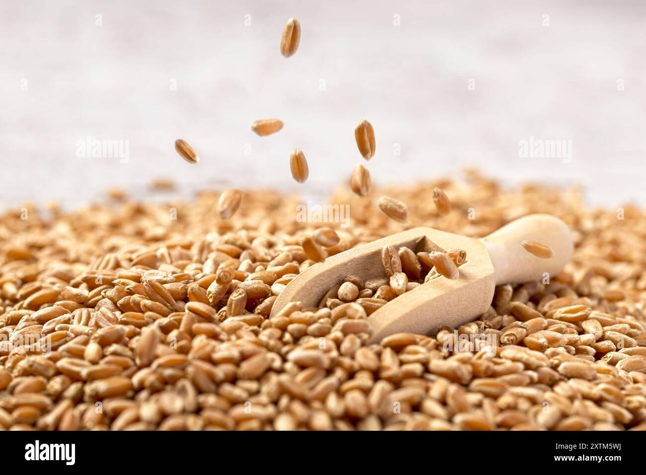 Whole grain wheat seeds falling hi-res stock photography and images - Alamy