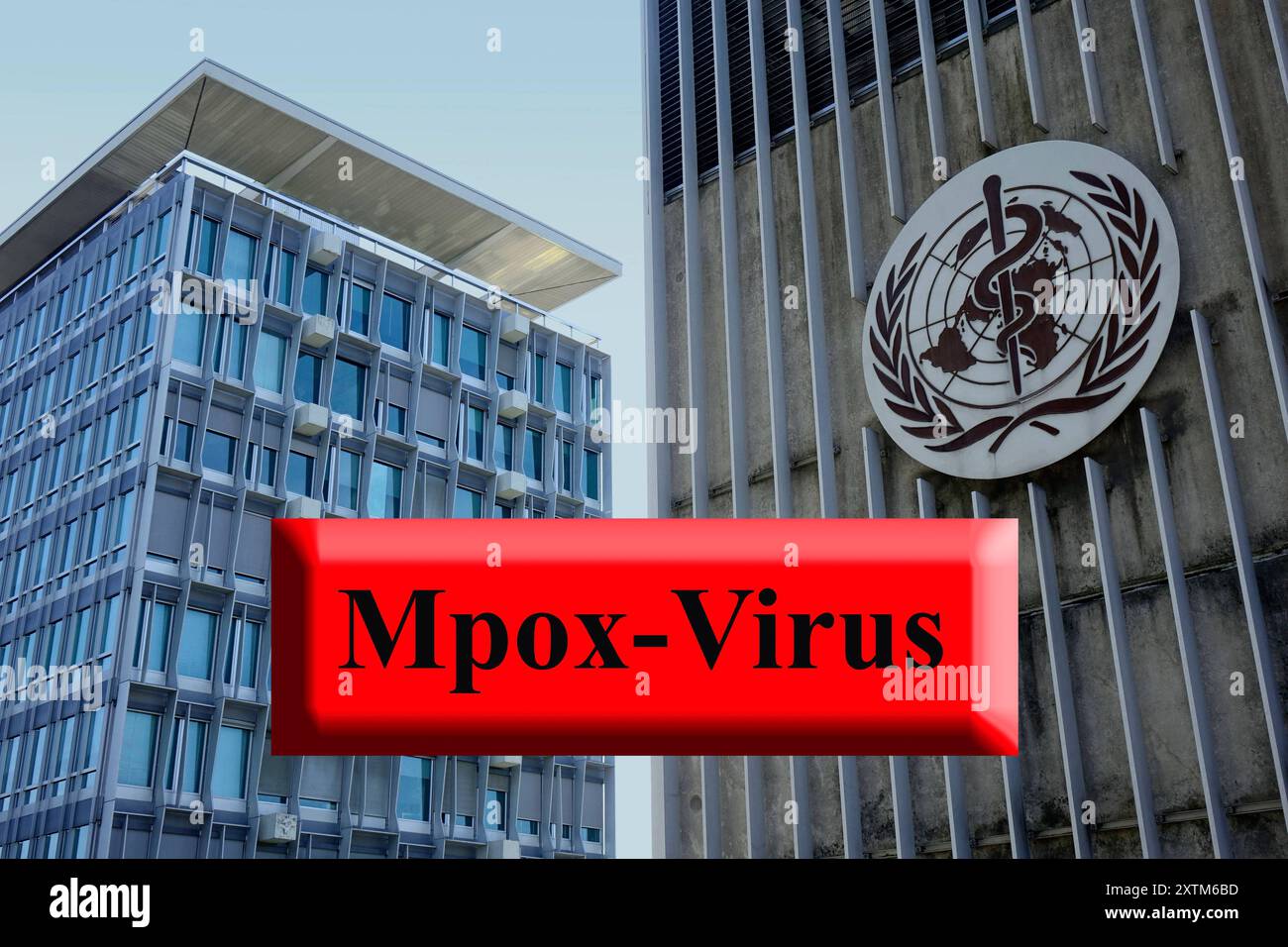 WHO und Mpox-Virus WHO und Mpox-Virus, 15.08.2024, Borkwalde, Brandenburg, Auf einem Button ...