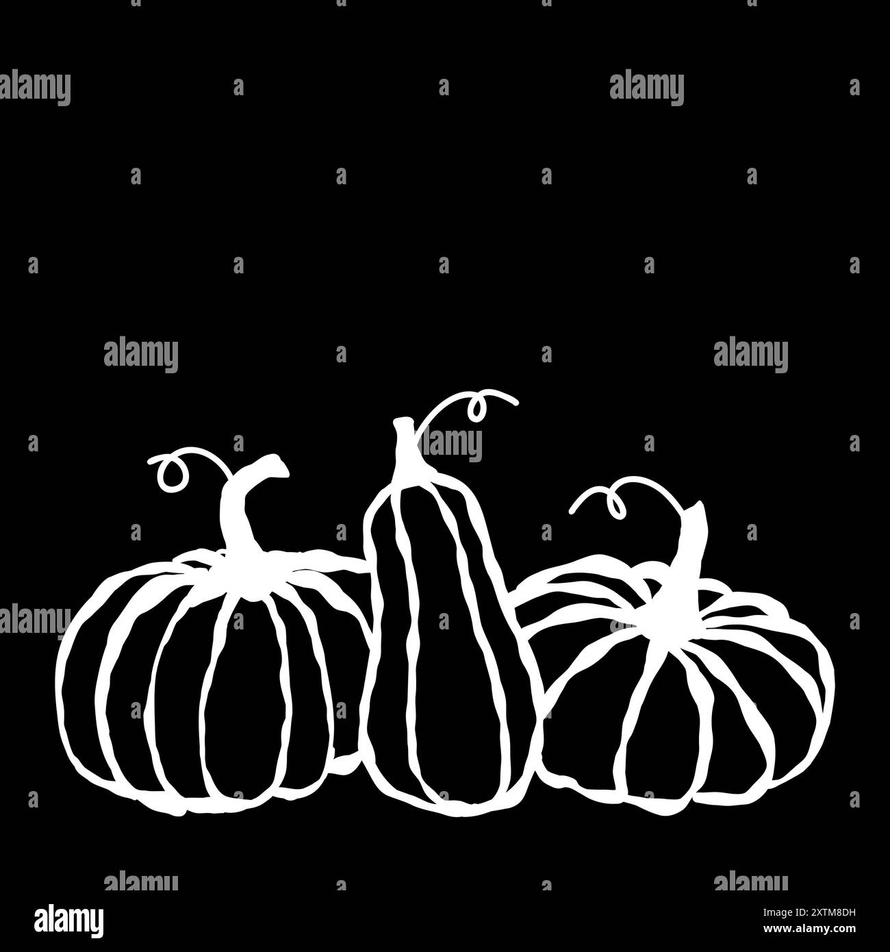 Pumpkins for decoration Black and White Stock Photos & Images - Alamy