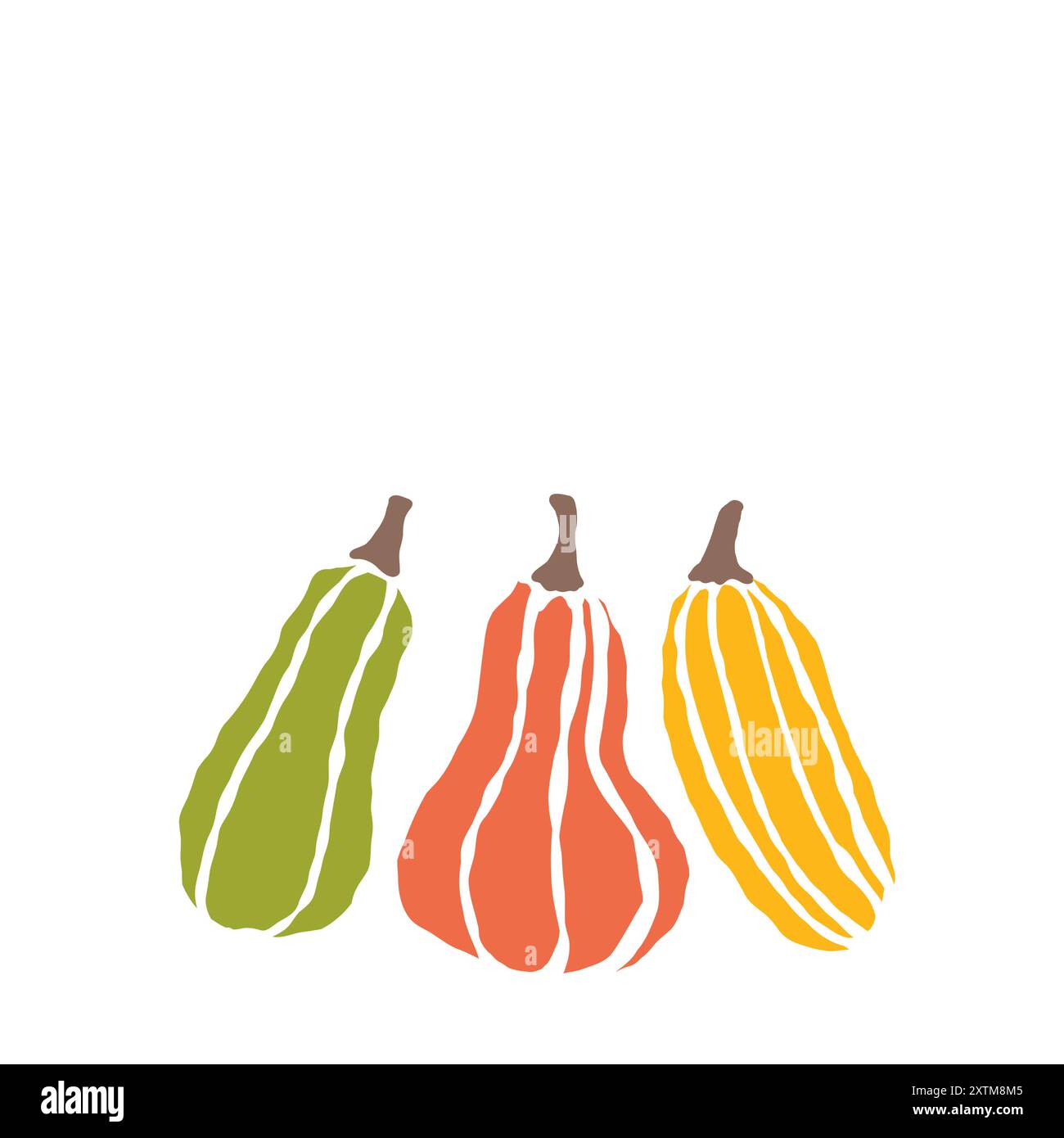 Trio of colorful squash varieties displayed against a white background ...