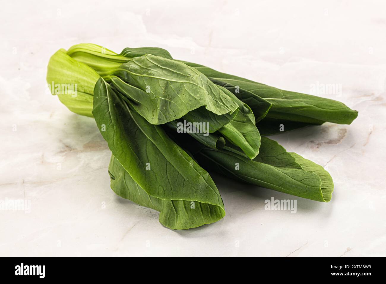Raw asian Pak Choy salad cabbage Stock Photo - Alamy