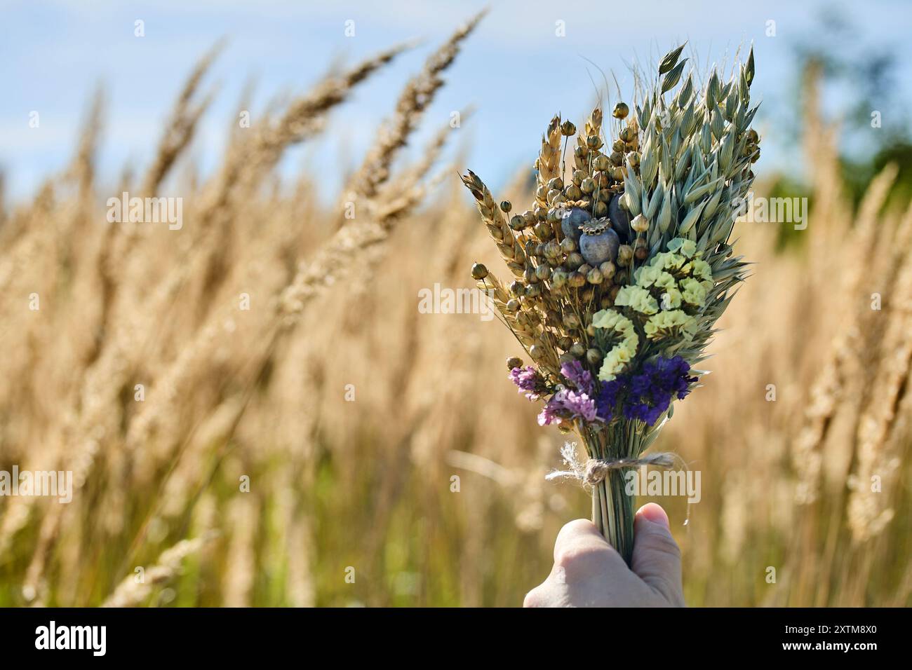 Assumption of Mary day. Rustic Field Bouquet Stock Photo - Alamy