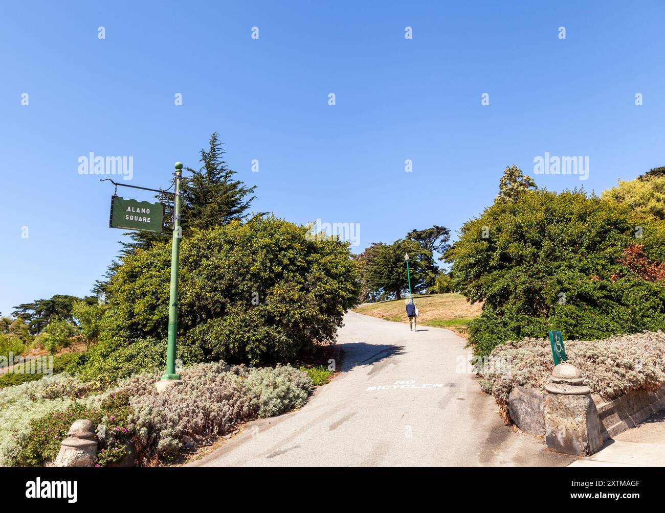 Alamo square park hi-res stock photography and images - Alamy
