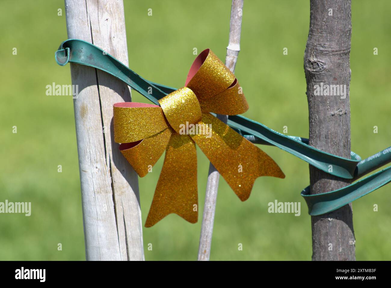 Tied to tree hi-res stock photography and images - Alamy
