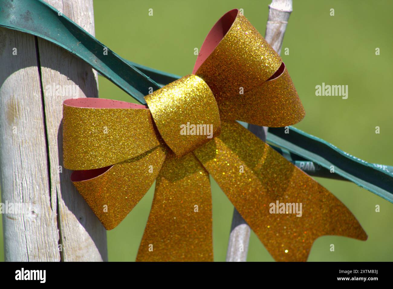 Tied to tree hi-res stock photography and images - Alamy