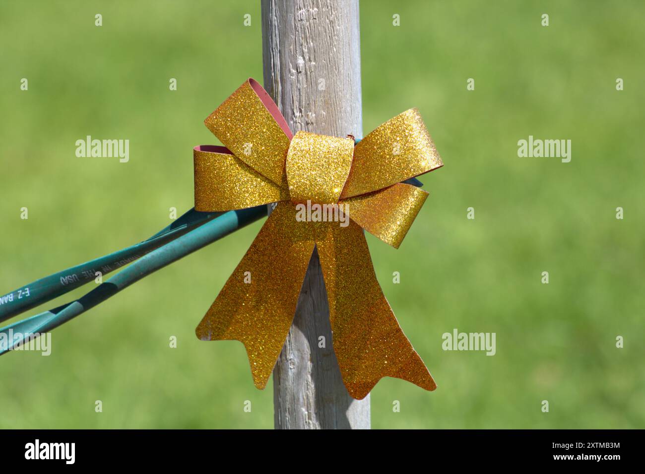 Golden bow on green hi-res stock photography and images - Alamy