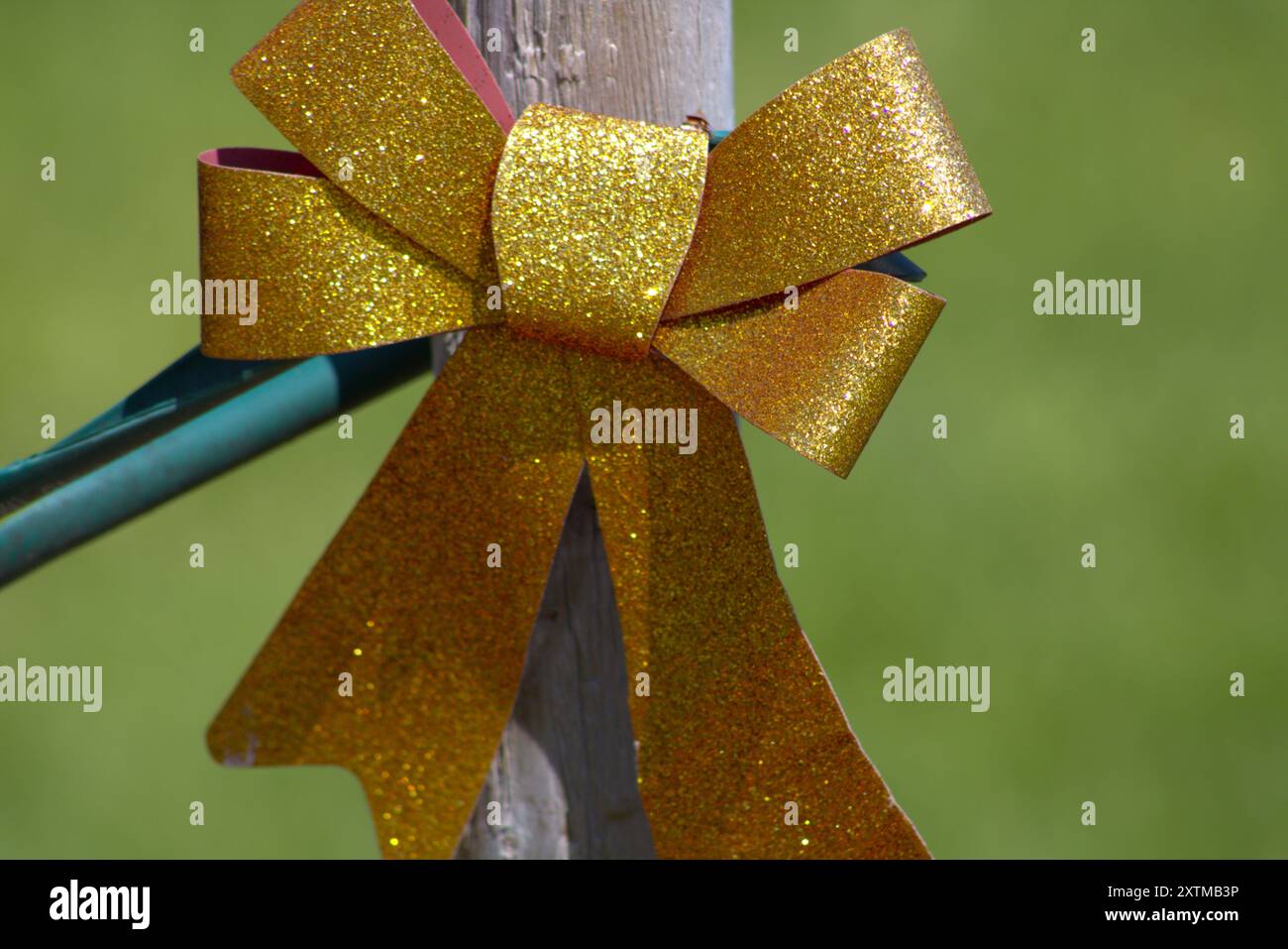 Tied to tree hi-res stock photography and images - Alamy
