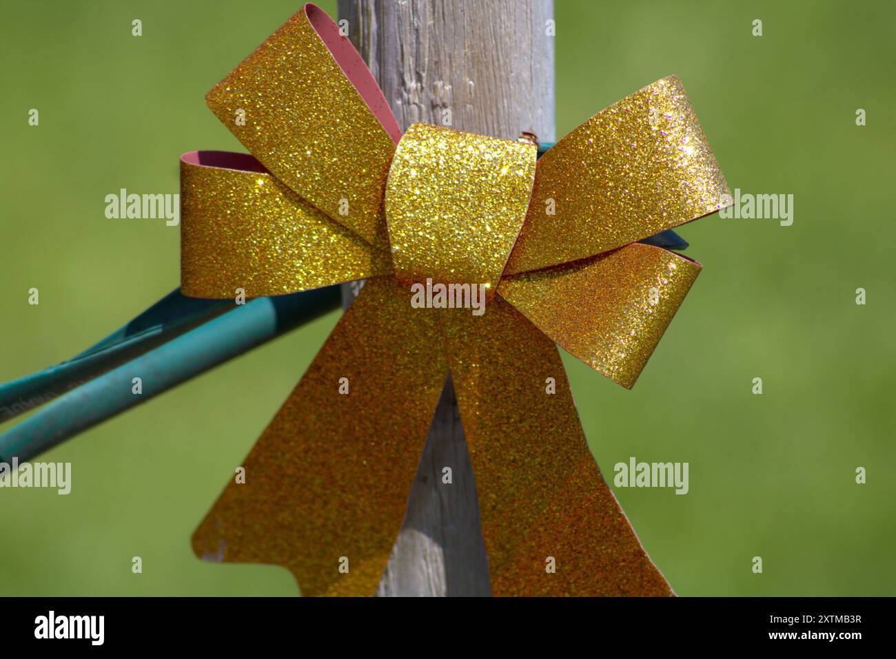Golden bow on green hi-res stock photography and images - Alamy