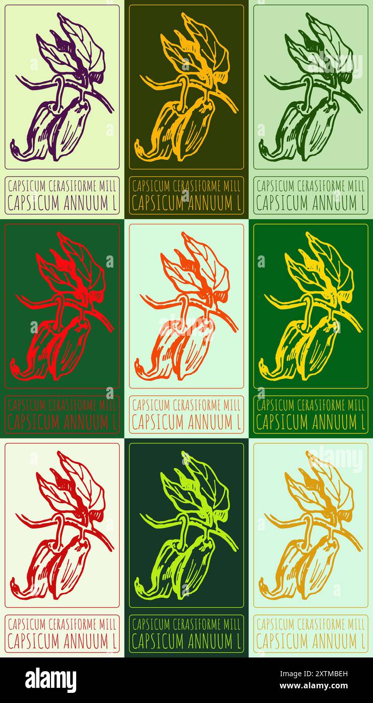 Annuum Stock Vector Images - Alamy