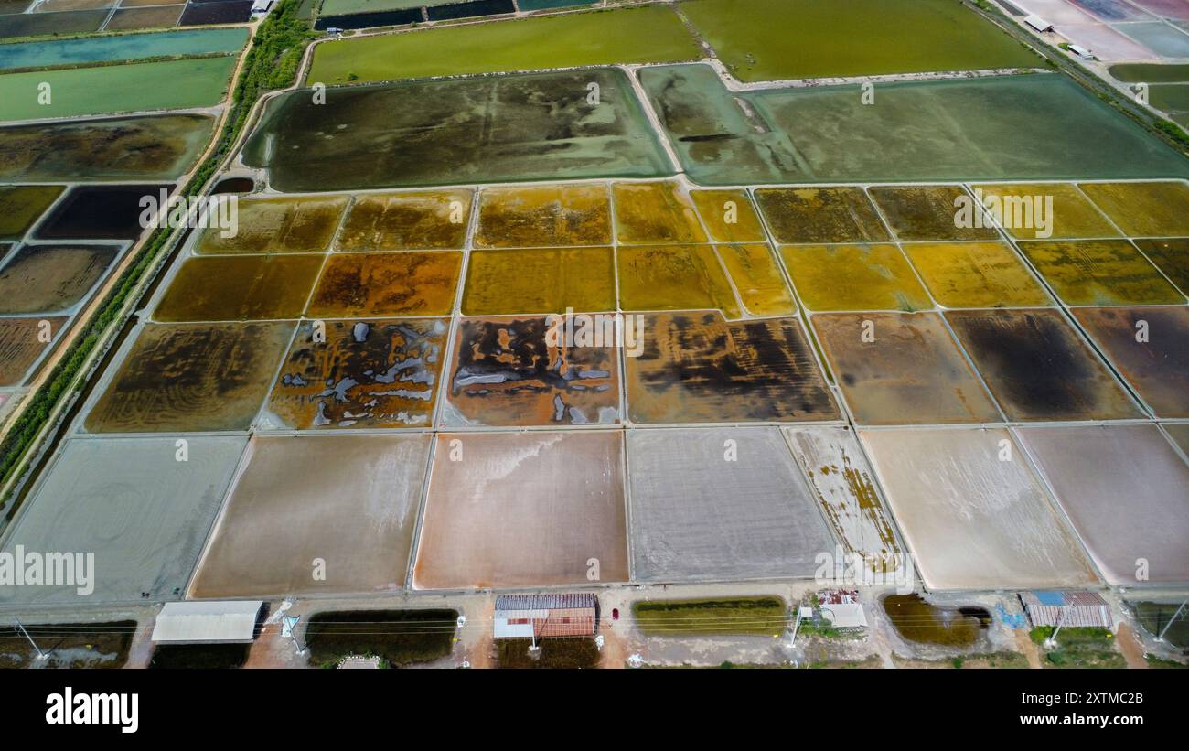 Salt fields in Thailand, Asia, seen from above Stock Photo - Alamy