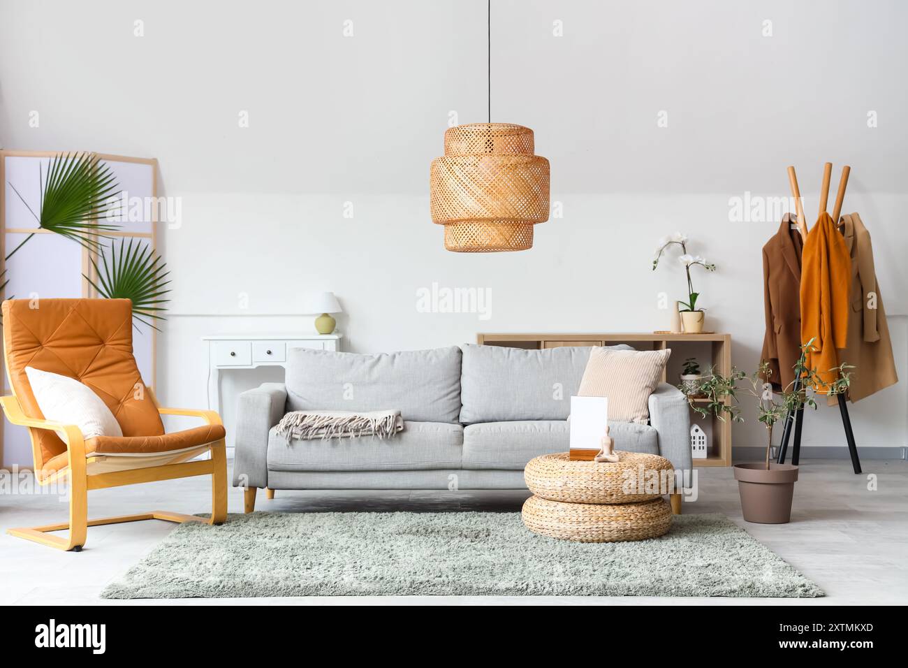 Cozy sofa, armchair and decorative olive tree in interior of living ...