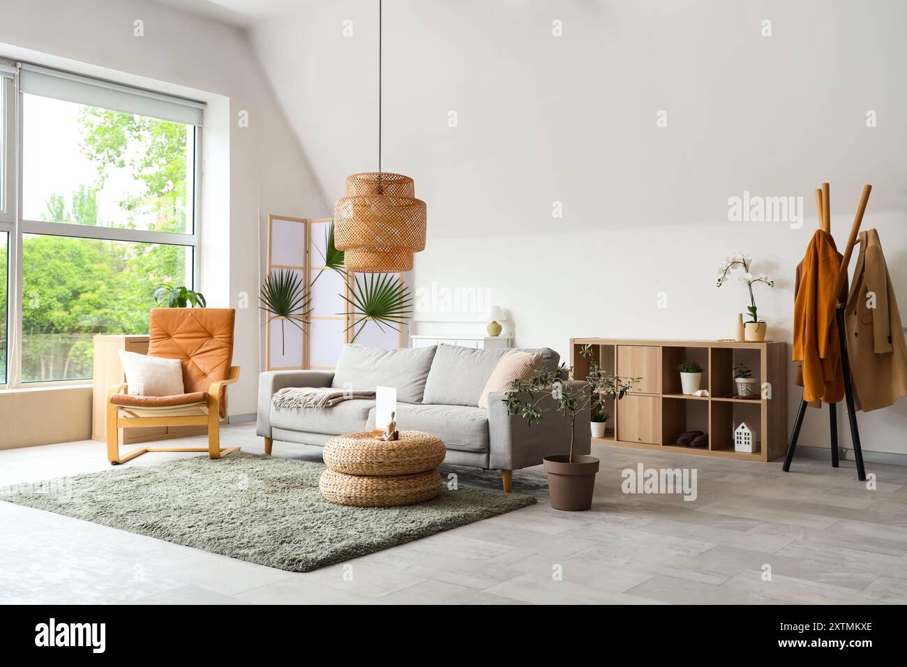 Cozy sofa, armchair and decorative olive tree in interior of living ...
