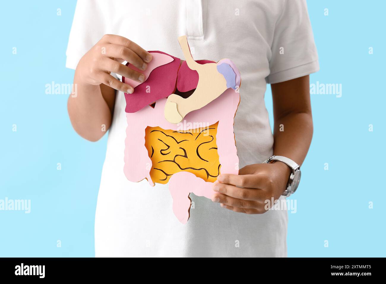 Little boy with paper digestive system on blue background, closeup ...